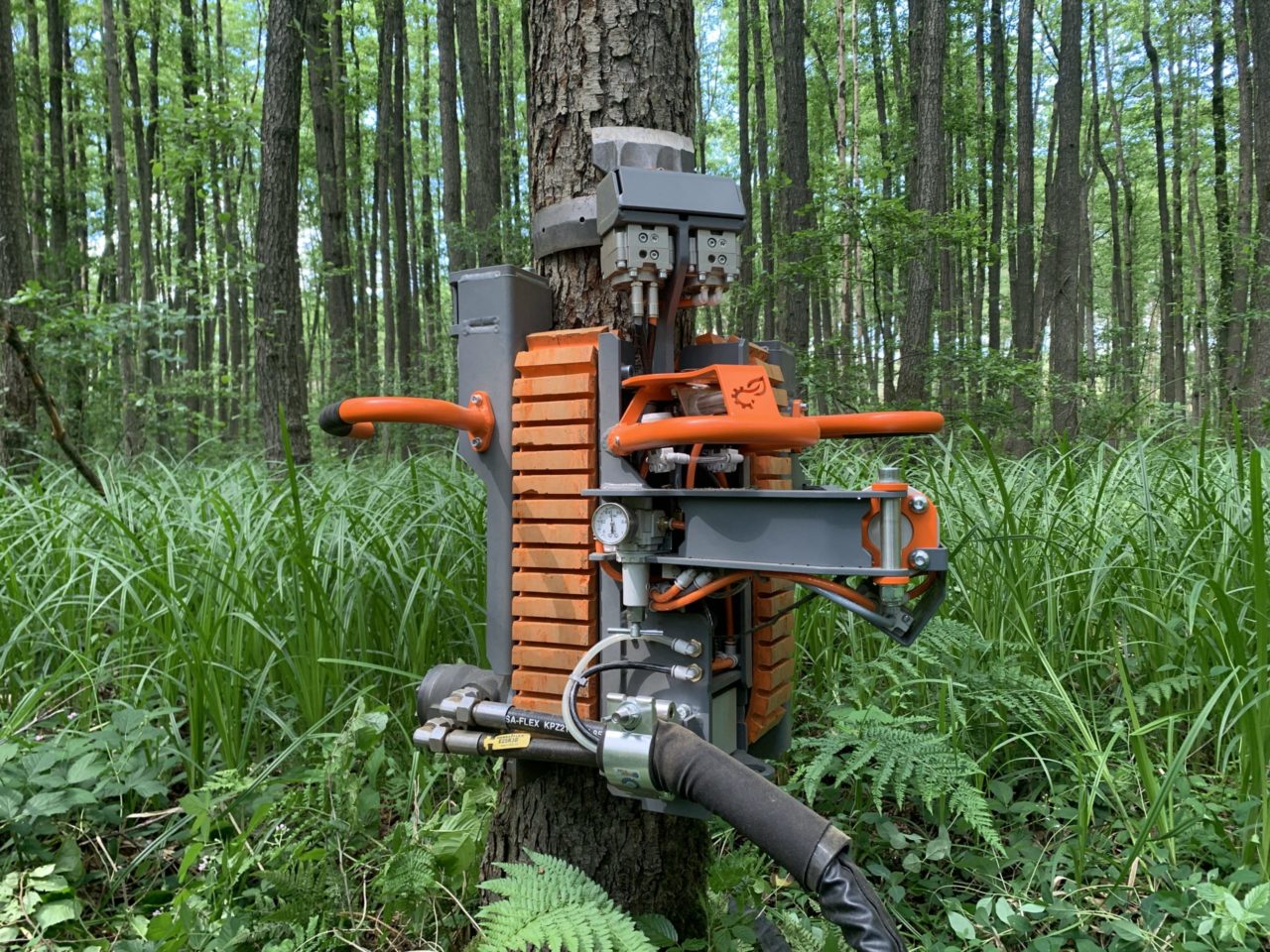 Über uns | advalingo GmbH